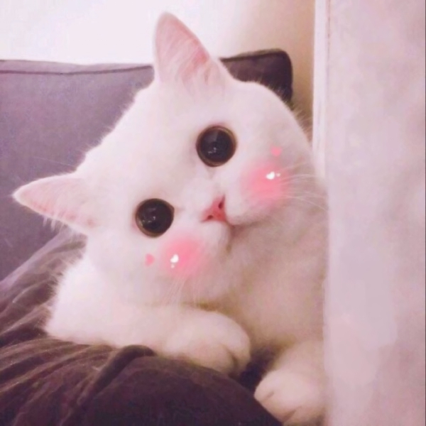 Muse: Parallel Multi-scale Attention for Sequence to Sequence Learning. Arxiv 2019. | Academic